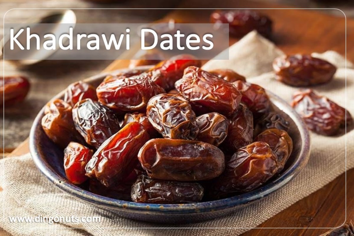 Best Date in Pakistan: Experience the original taste - dingonuts