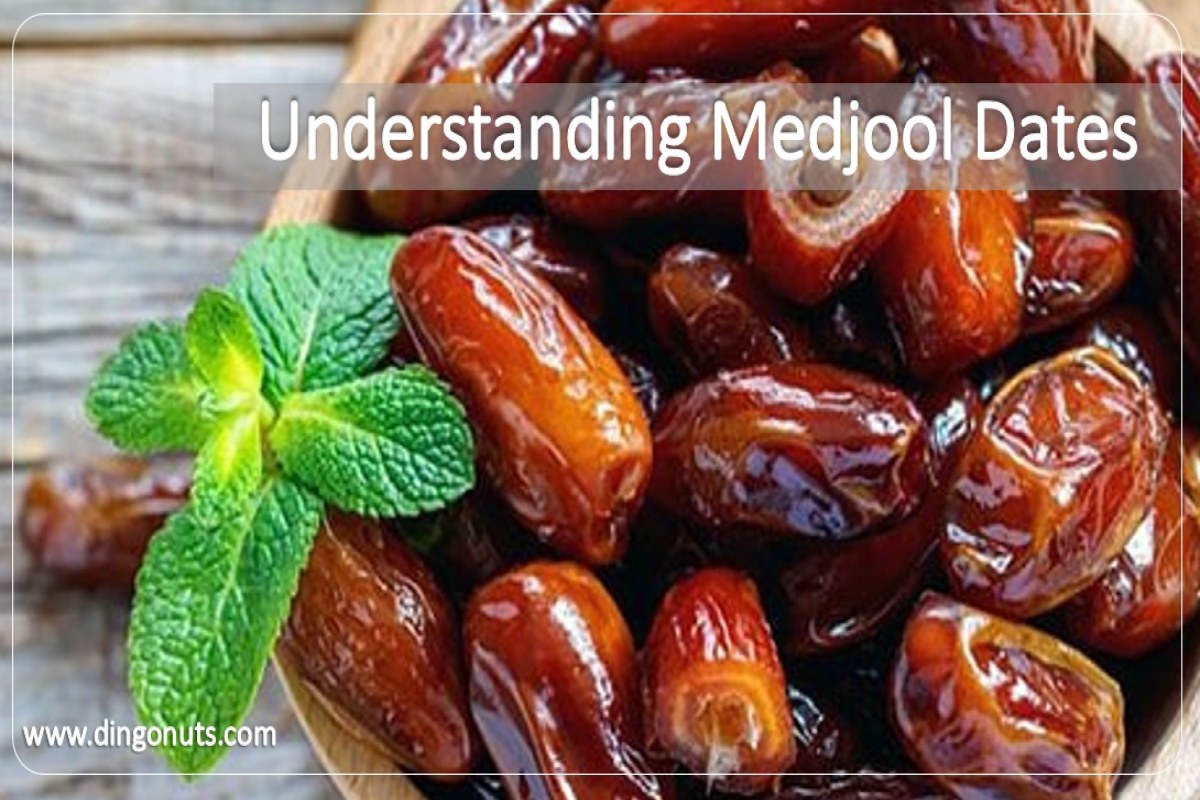 Medjool Dates in Pakistan: Import Trends, and Market Growth
