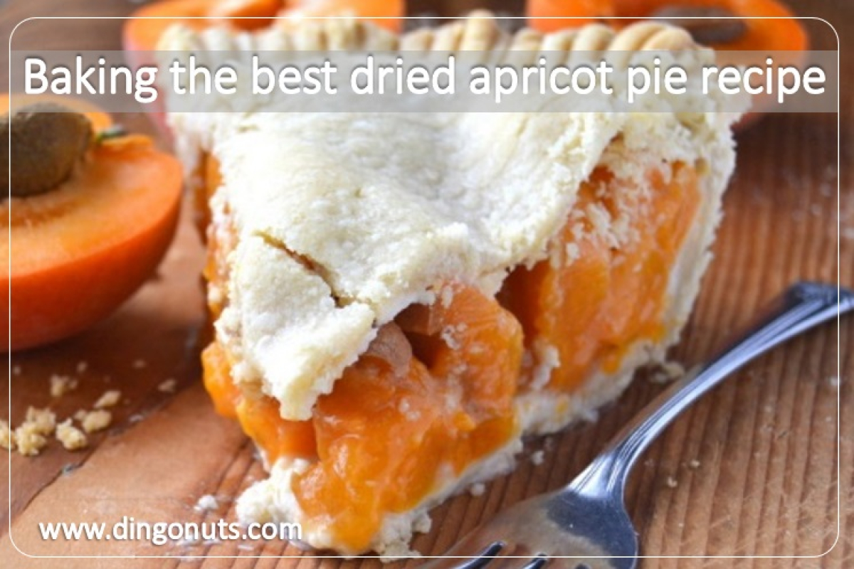 best dried apricot pie recipe: A Flavor You Won't Forget - dingonuts