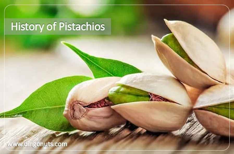 Big pistachio exporter | Dominating the Global Pistachio Market
