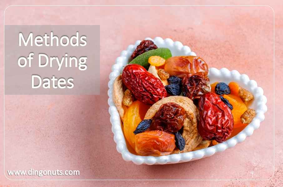 Date dry fruit | Natural Energy and Amazing Health Benefits