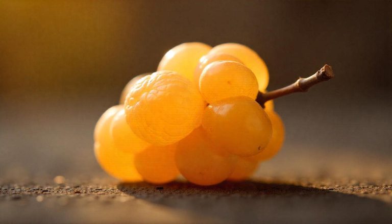 benefits of dry grapes soaked in water - dingonuts